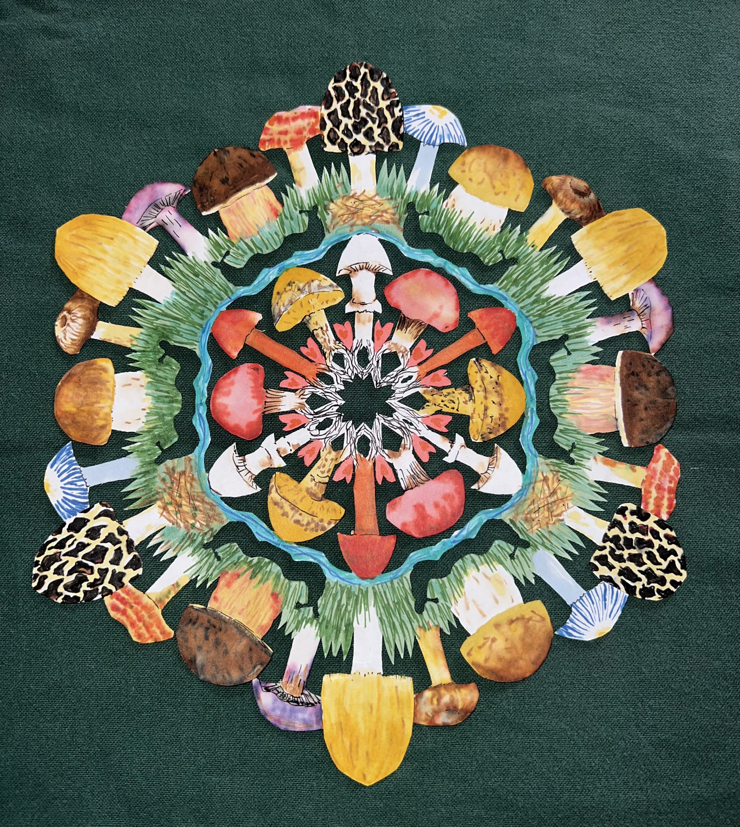 Mycological Society of San Francisco
